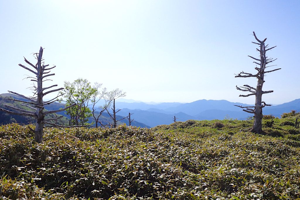 The Miune – Tenguzuka Traverse Part 3 | To Mt Nishikuma and Okameiwa ...